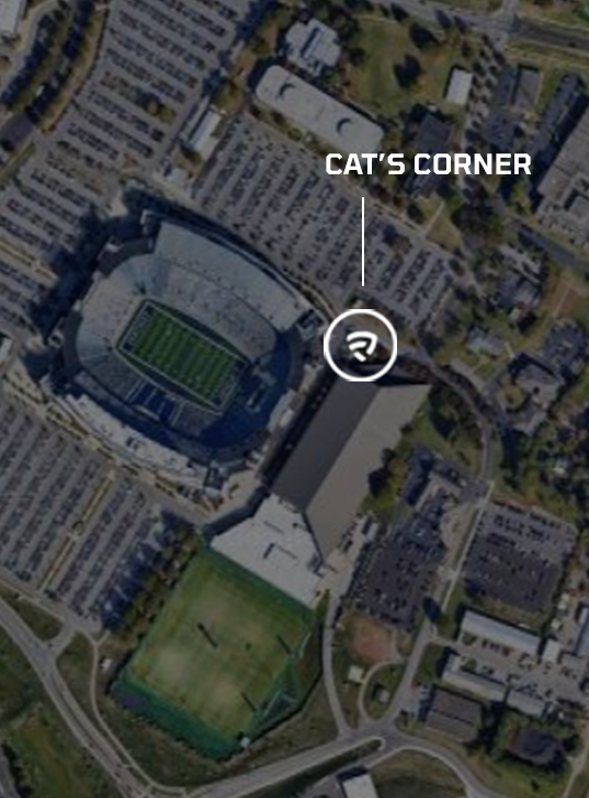 Kentucky | Cat's Corner | REVELxp